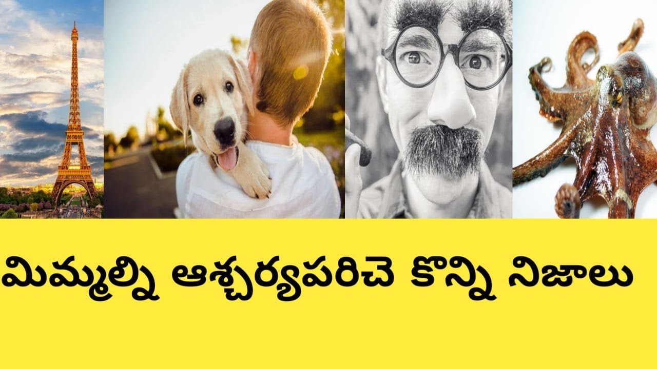 Unknown Intersting Facts In Telugu Ll Amazing Facts Ll YouTube unknown-intersting-facts-in-telugu-ll-amazing-facts-ll-youtube