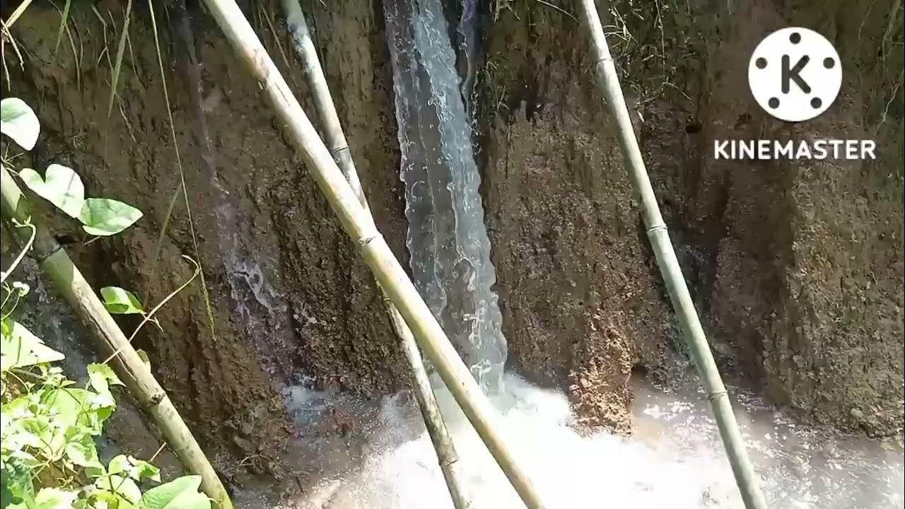 wb mus saib liaj nplej yuav lawm - YouTube