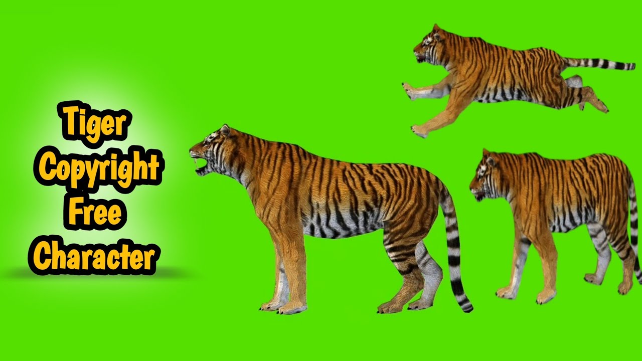 Tiger green screen / Animated green screen tiger no copyright / Green ...