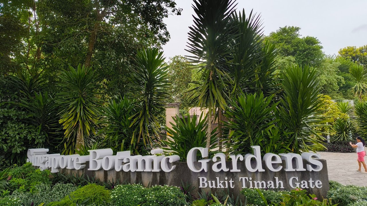 Pedestrian Footage | Singapore Botanic Gardens - Untitled Walk Bukit ...