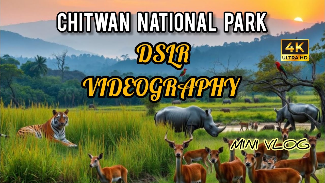 MINI VLOG | DSLR VIDEOGRAPHY OF CHITWAN NATIONAL PARK SAURAHA - YouTube