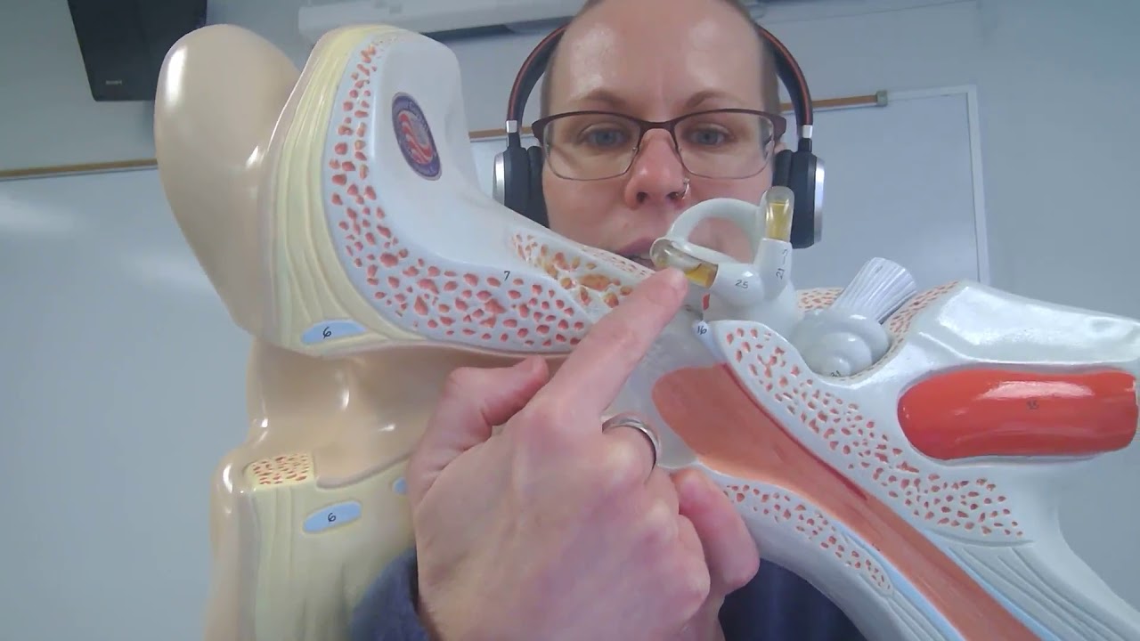 Biology 2020 Lab 1 Quiz Question - YouTube