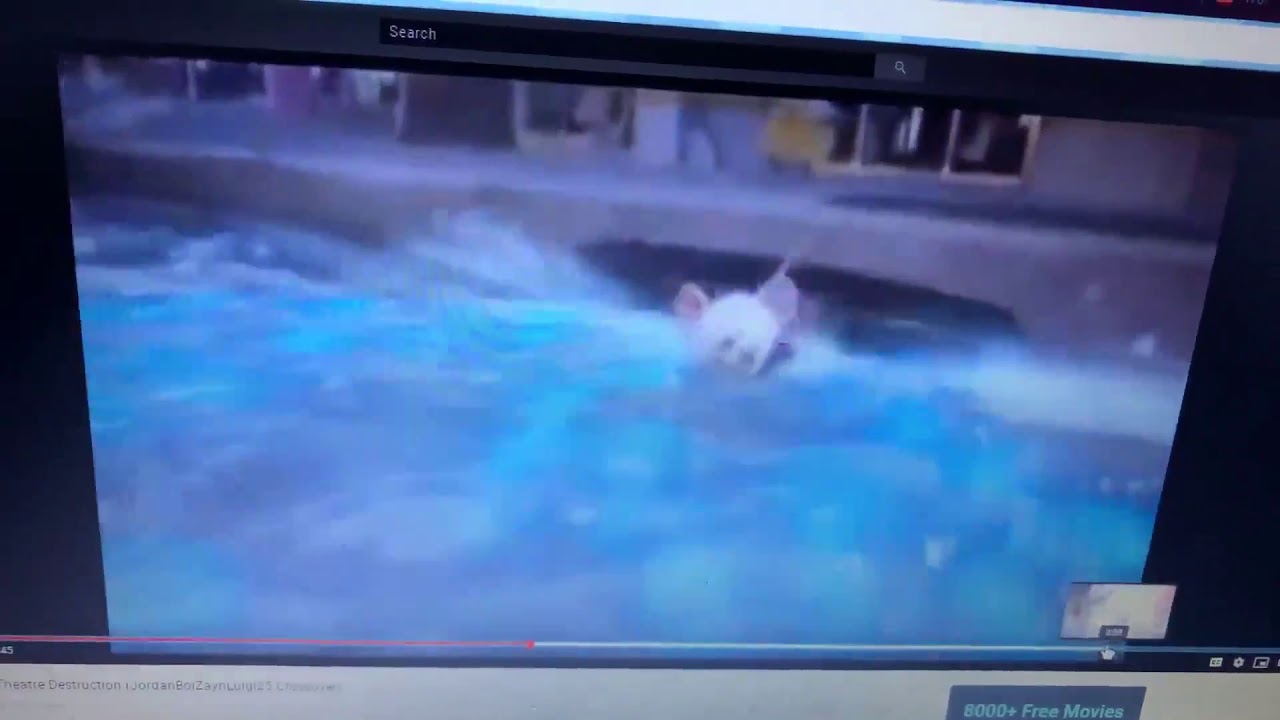 Wateryardigans - YouTube