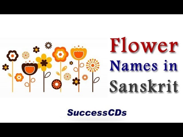 Orchid Flower Name In Sanskrit Sevilla Lanueva orchid-flower-name-in-sanskrit-sevilla-lanueva