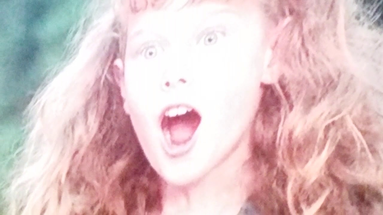 Chance,Sassy and Shadow reunited with Hope,Jamie and Peter - YouTube