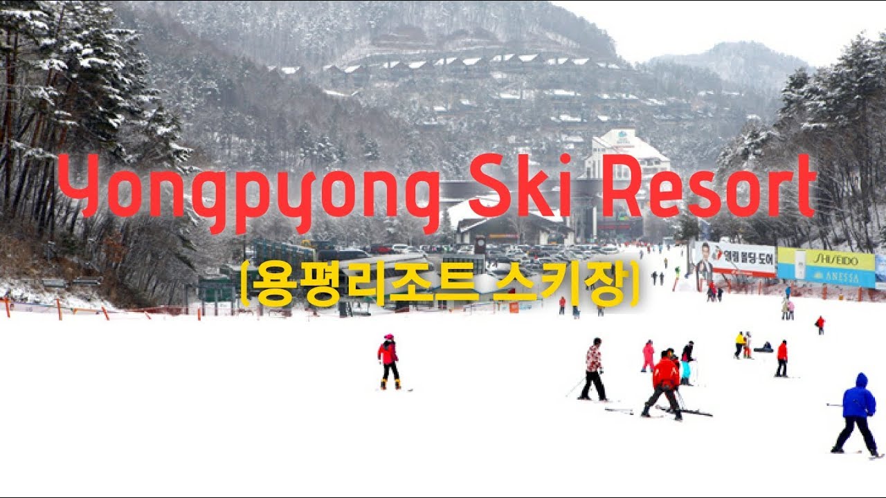 [Review] Yongpyong Ski Resort in Pyeongchang, South Korea (용평리조트 스키장 ...