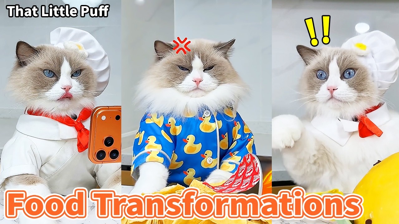 Top 20 Mind-Blowing Food Transformations🤯 | That Little Puff - YouTube
