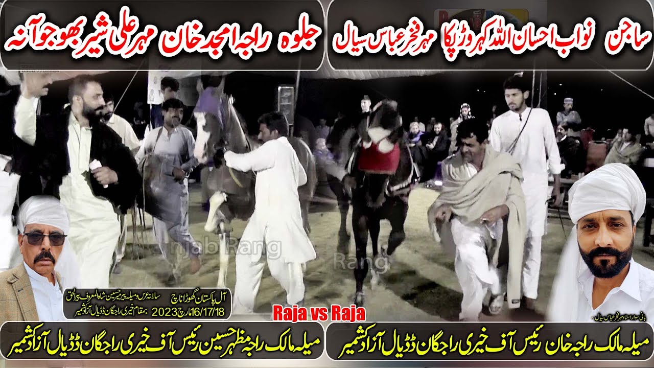 Horse Dance ll Kheari Rajgan Dadyal Azad Kashmir ll Sajan l Nawab Ihsan ll Jalwa Raja Akmal 2023 ...