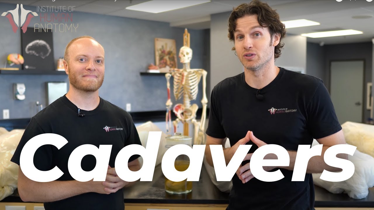 What It s Like Working With Dead Bodies YouTube what-it-s-like-working-with-dead-bodies-youtube