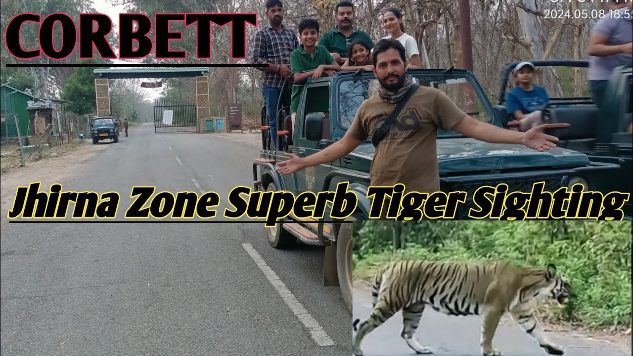 Best Zone For Tiger Sighting / Jhirna Zone Jungle Safari / Corbett ...