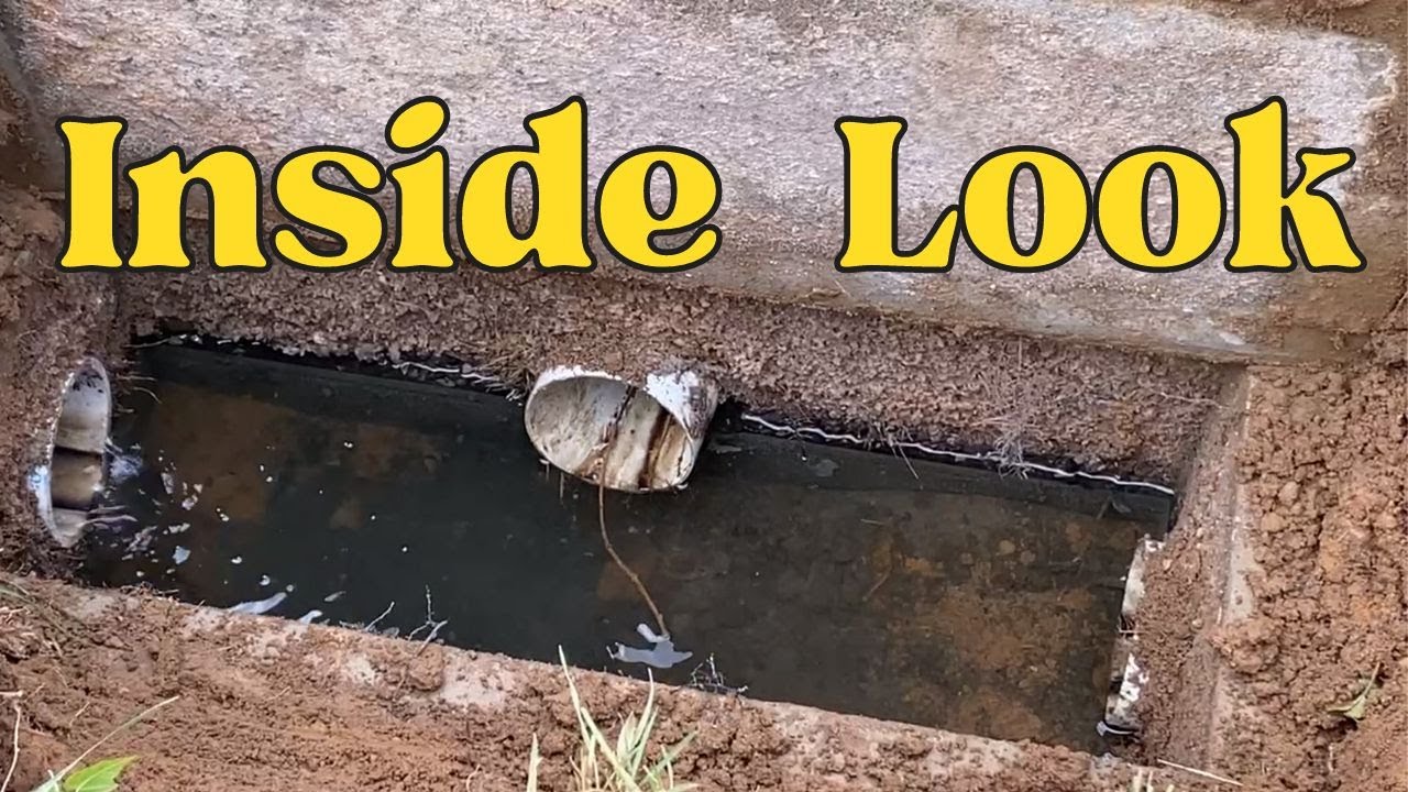 What Does The Interior Of A Distribution Box And Drain field Look Like ...