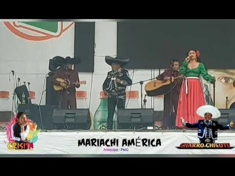LA CHAPARRITA CRIS - EL GALLO DE ORO - MARIACHIS DE AREQUIPA 🇵🇪 - YouTube