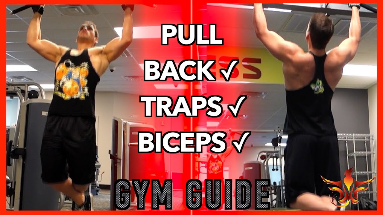 PULL Workout "Back Traps Biceps " (Gym Guide Continuation) - YouTube