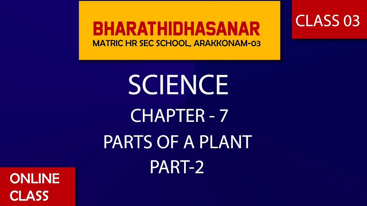 Science | class 3 | Chapter 7 | Part 2 | Parts of a Plant ...