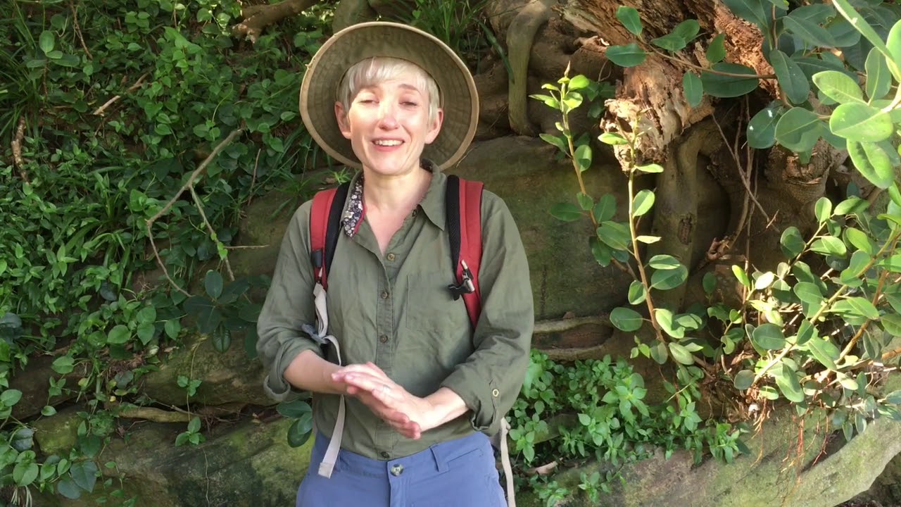 Clothing For Geology Fieldwork, GEOS307 - YouTube