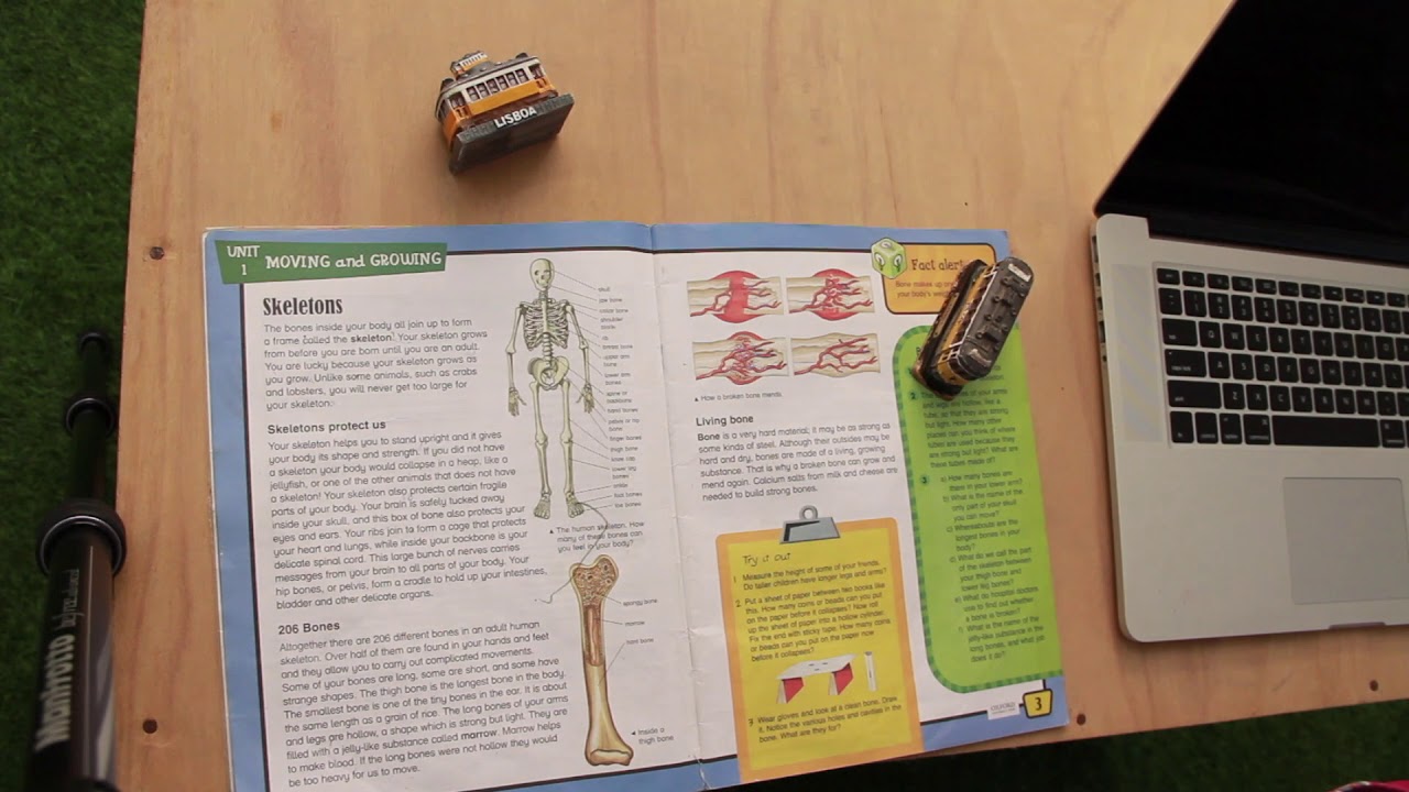 Grade lll (Simply Science) Unit#1 Moving & growing Topic:Skeleton - YouTube