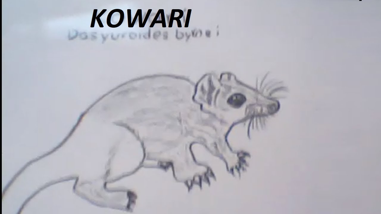 como hacer un kowari a lápiz parte 1 - YouTube
