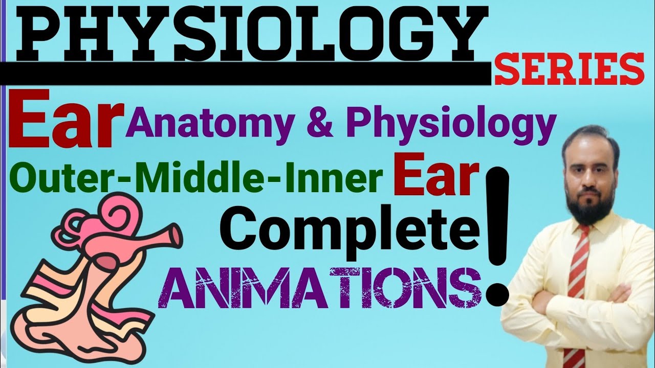Ear Anatomy and Physiology with Animations | Structure | Functions ...
