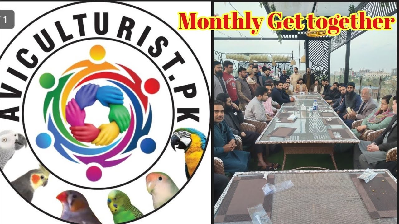 Monthly Get together Hosted By Avicultrist.pk at Oban Restaurant ...