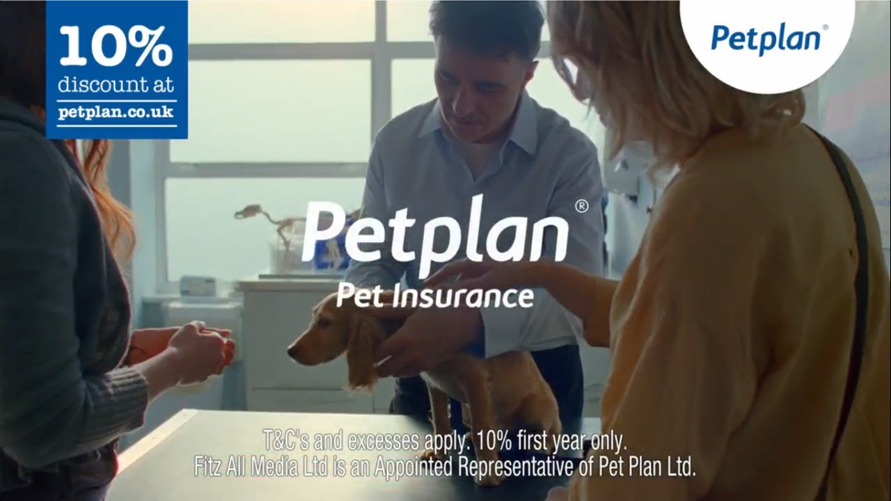 Puppy Insurance & Care TV Ad Jan 2024 20s - Petplan - YouTube