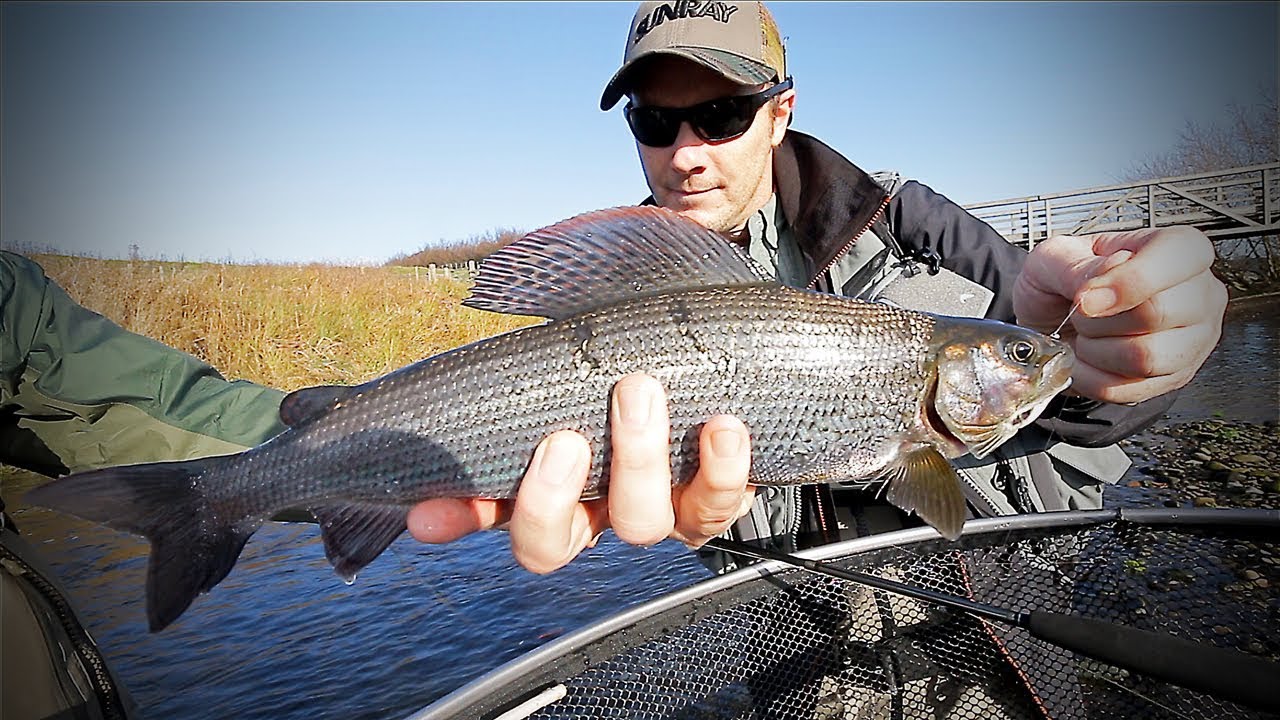 GRAYLING ️CALDER // England team member Paul Fairhurst & Tom fish the ...