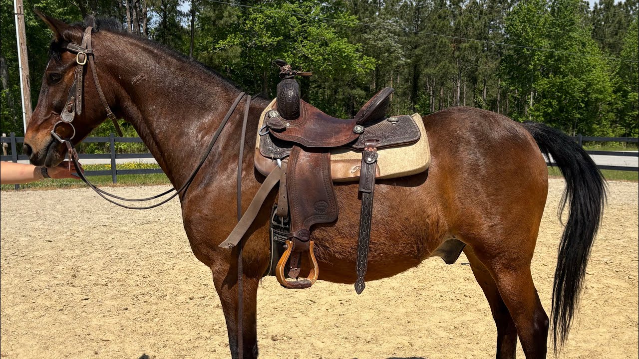 Morgan cross - YouTube