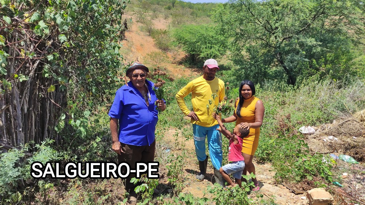 MOSTRANDO AS TRADIÇÕES NORDESTINAS EM SALGUEIRO PERNAMBUCO COM SEU ...