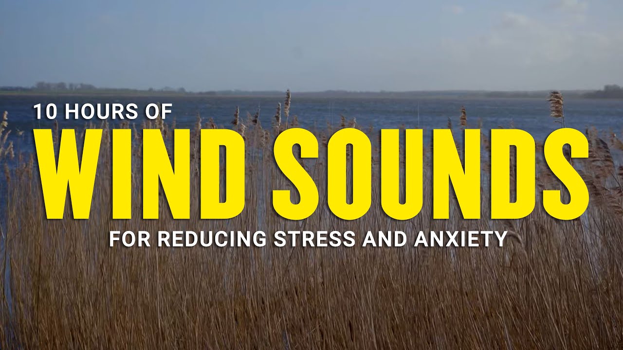 10 Hours of Wind Sounds for Reducing Stress, Anxiety | Wind Sounds for ...