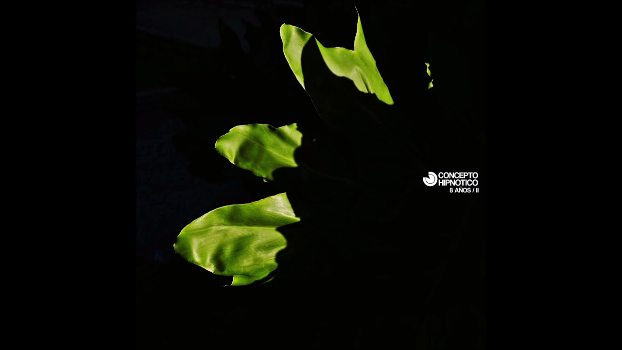 Sebastian Tinte - Untitled [CHRYR008P2] - YouTube