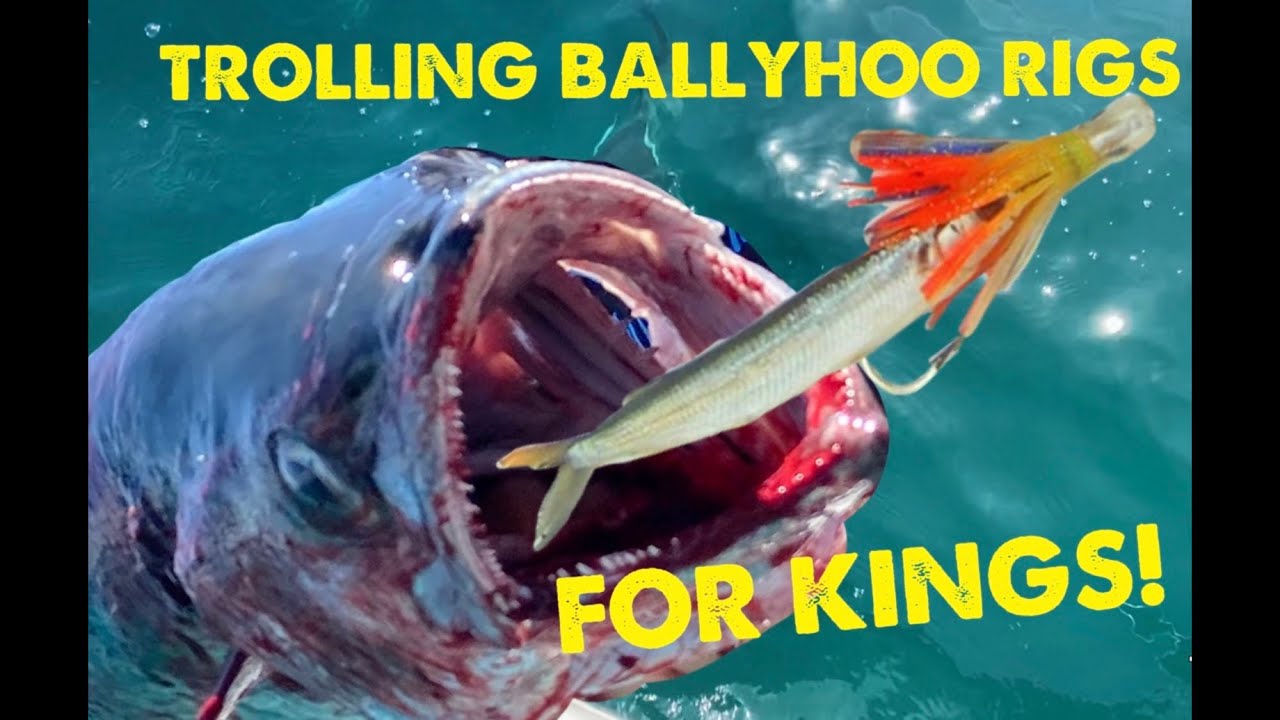 Trolling for kingfish using fathom ballyhoo rigs out of St. Petersburg ...