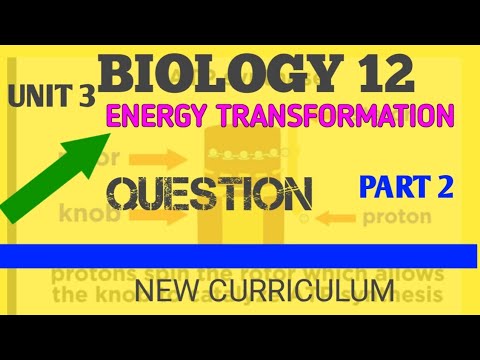 Biology 12 Unit 3 Energy Transformation ||Question New curriculum ...