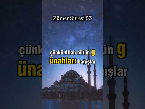 Zümer Suresi 53. ayet Türkçe anlamı. #kuran #amin #kelimeitevhid