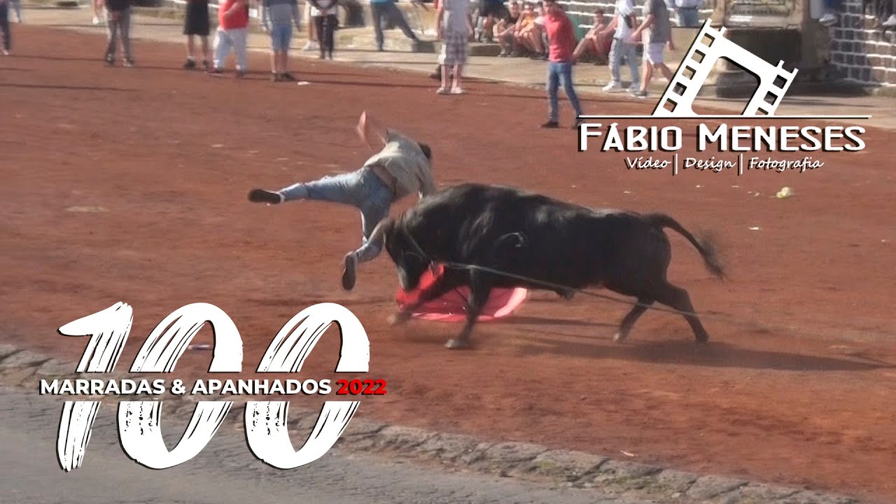 100 MARRADAS & APANHADOS de 2022 | by Fábio Meneses - Ilha Terceira ...