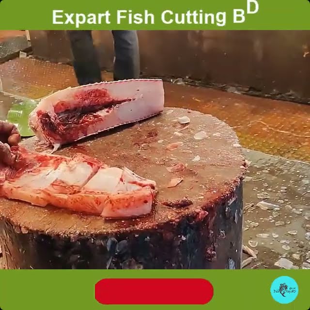 Amazing Fish Cutting Skills 2025 || Fish Cutting By Expert Fish Cutter ...