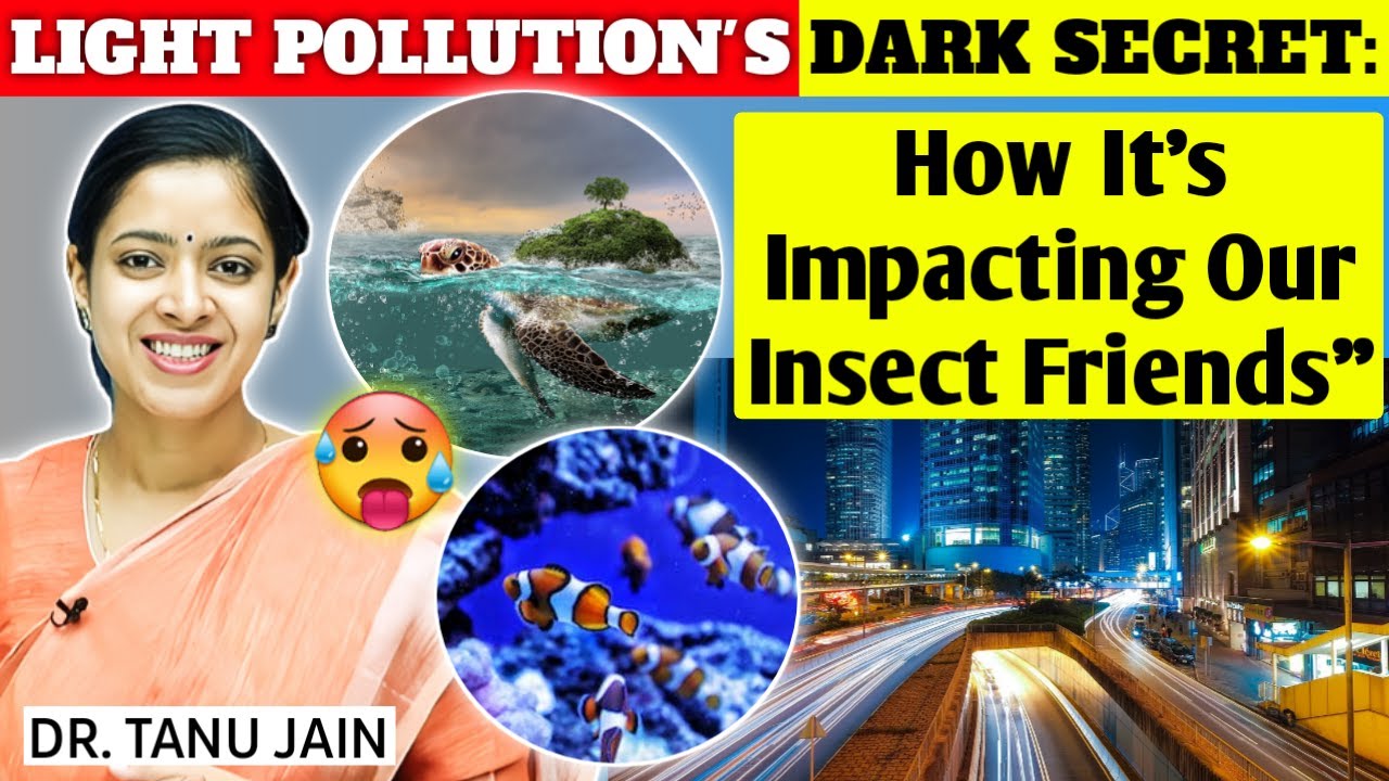 Light Pollution's Dark Secret 😳 | How It's Impacting Our Insects ...