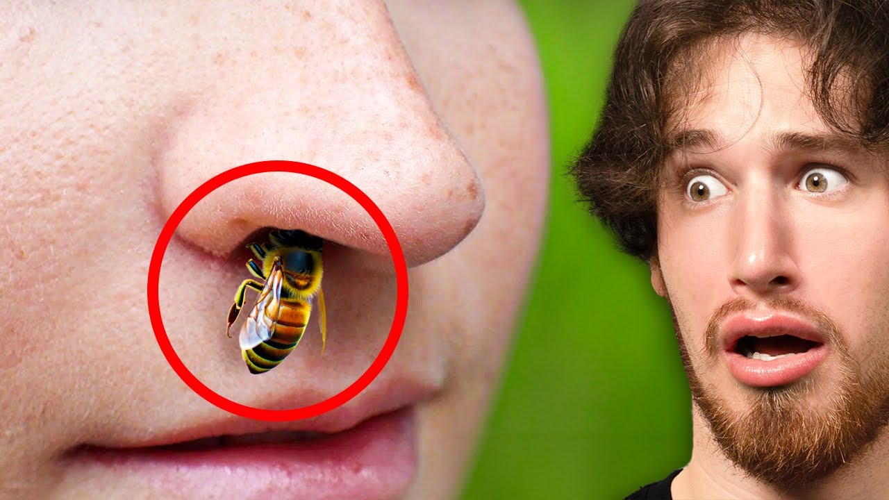 He Inhaled a Bee... - YouTube