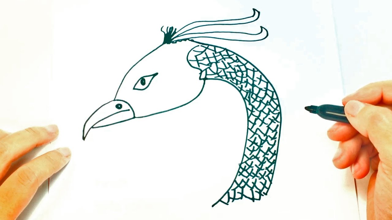 How to draw a Fenix | Fenix Easy Draw Tutorial - YouTube