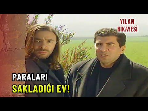 Kürşat, Gülsüm'ün Sakladığı Paraların Peşinde!  - Yılan Hikayesi 82.Bölüm