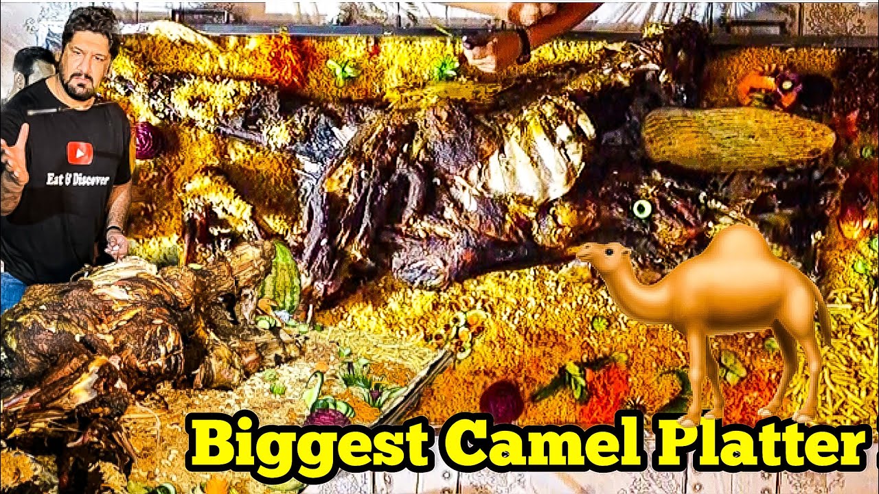 Camel Live Cooking | Biggest Platter First Time In Pakistan - YouTube