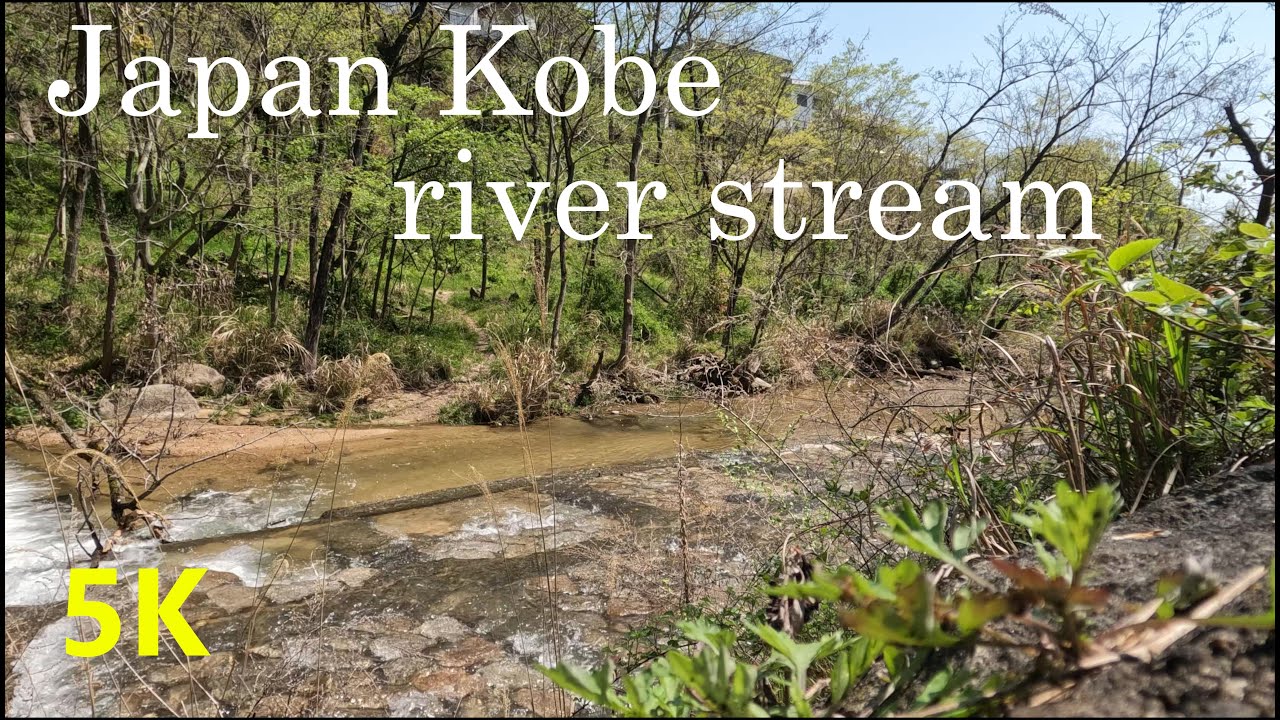 【5.3K】relax healing music of a stream～川のせせらぎ水の音・定点観測・水景・睡眠導入～Japan ...