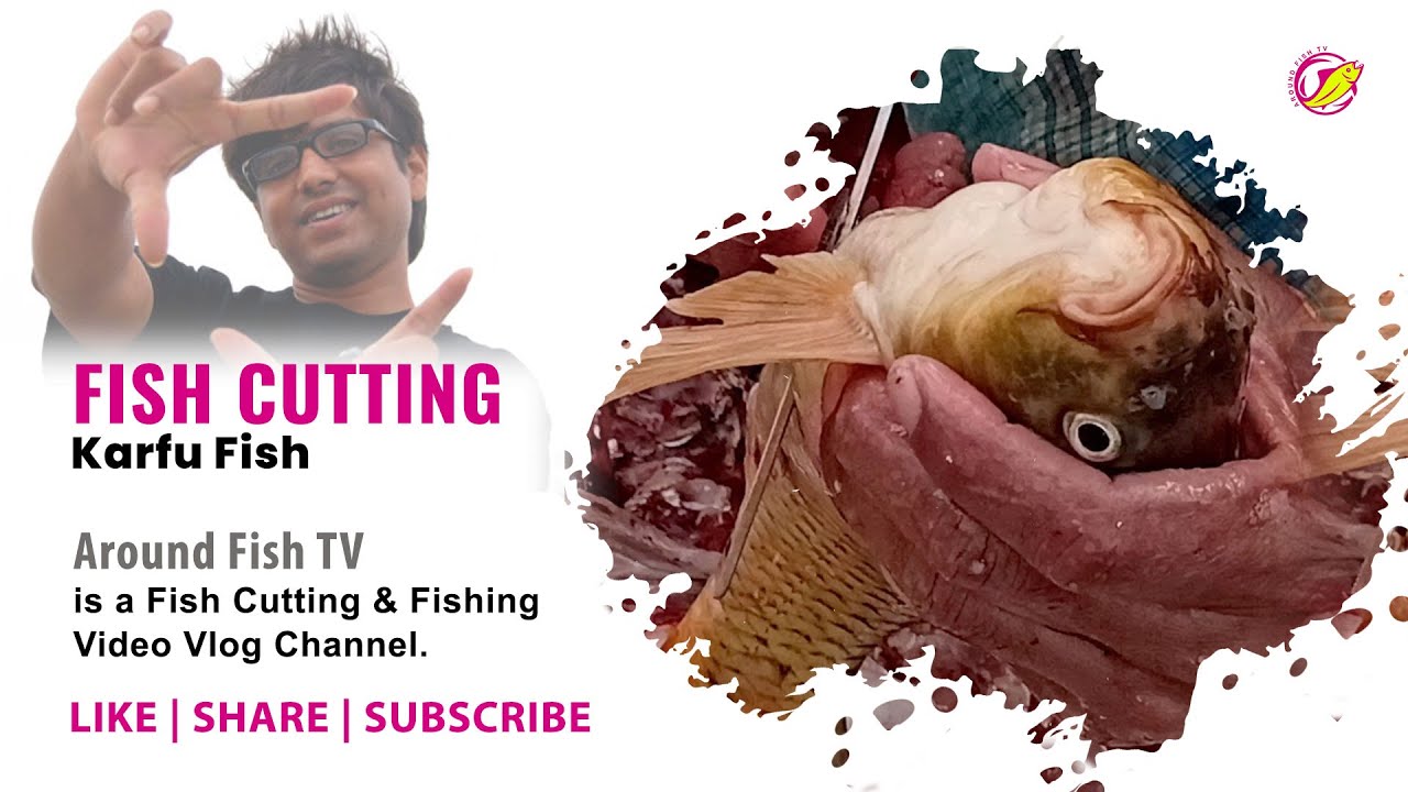 Karfu Fish Cutting Live on the Fish Market | Carp Fish Cutting Skills ...