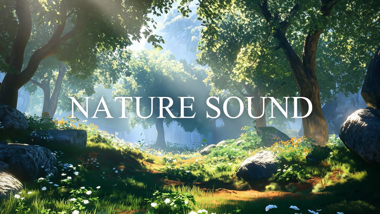 Nature Sounds Soothing Bird Sounds - YouTube