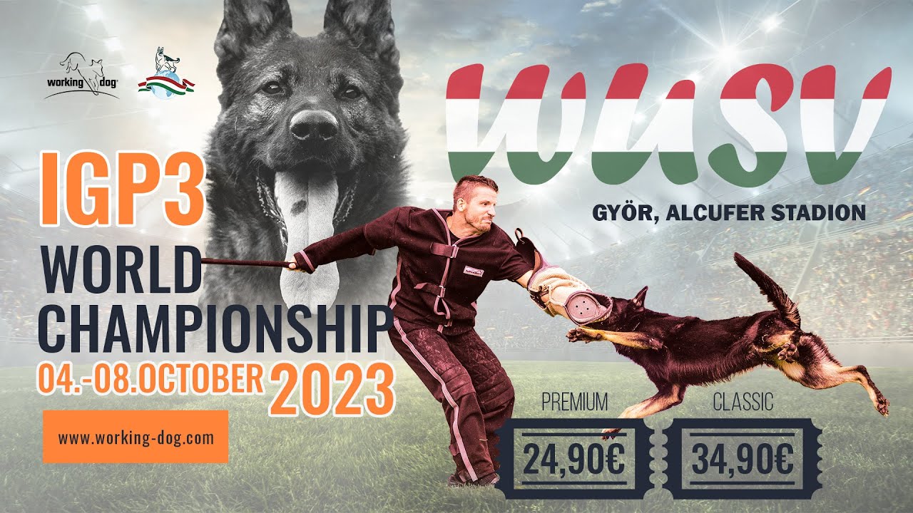 Livestream-Trailer // WUSV World Championship 2023 // workingdog - YouTube