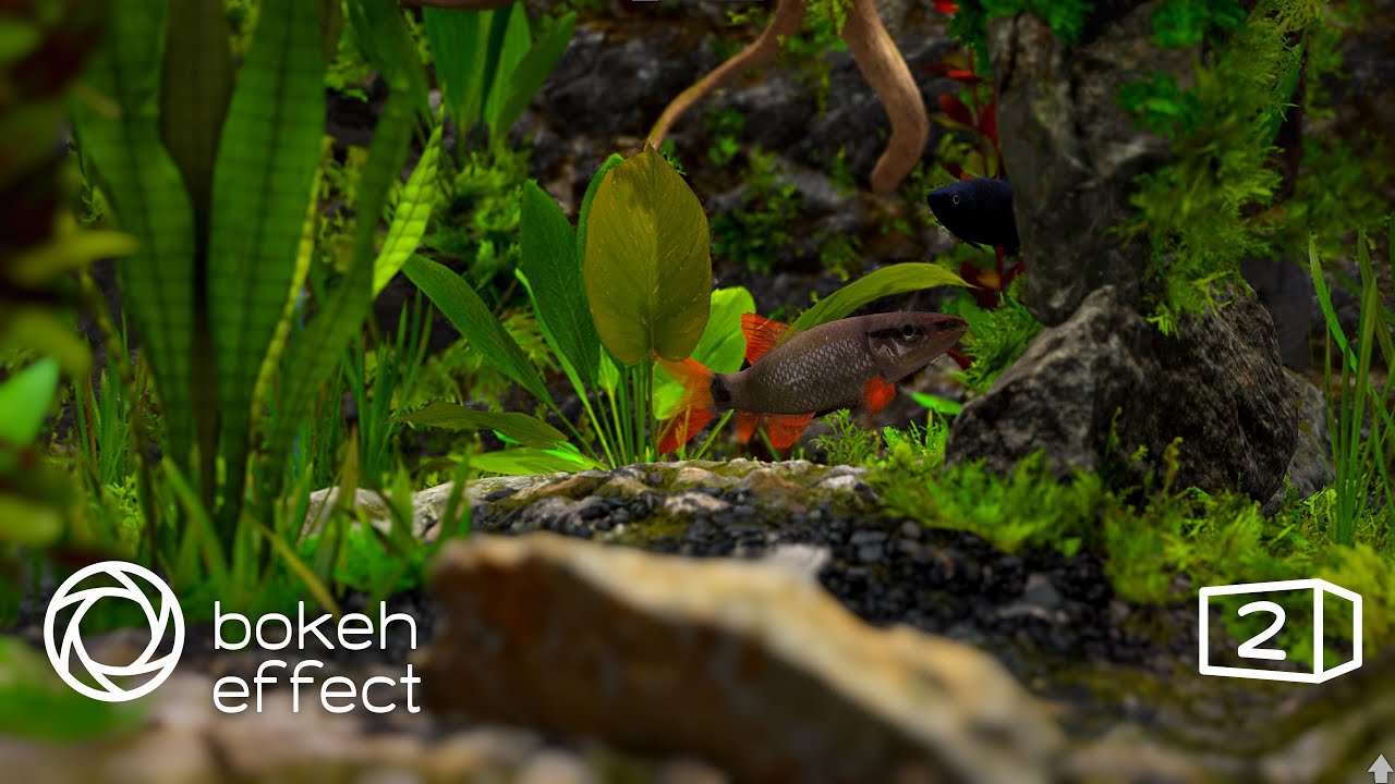 Aquaplanet-2 • Bokeh effect | Nature sounds - YouTube