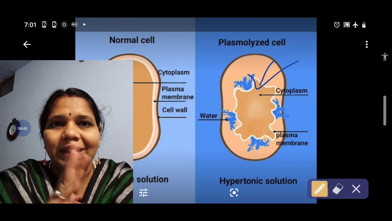 Absorption by root. Class-10th.(imbibation, pressure turbidity etc ...