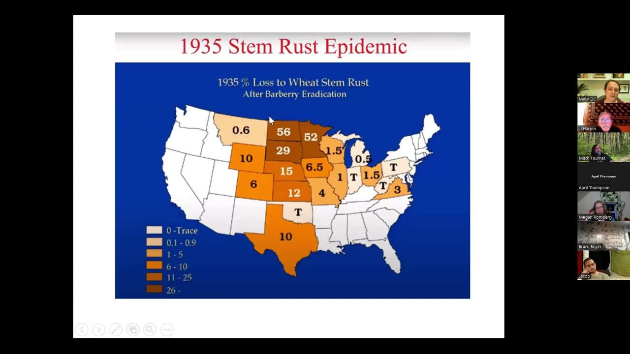 April Meeting - Wheat Rust and Robigalia - Megan Romberg (4/5/2022 ...