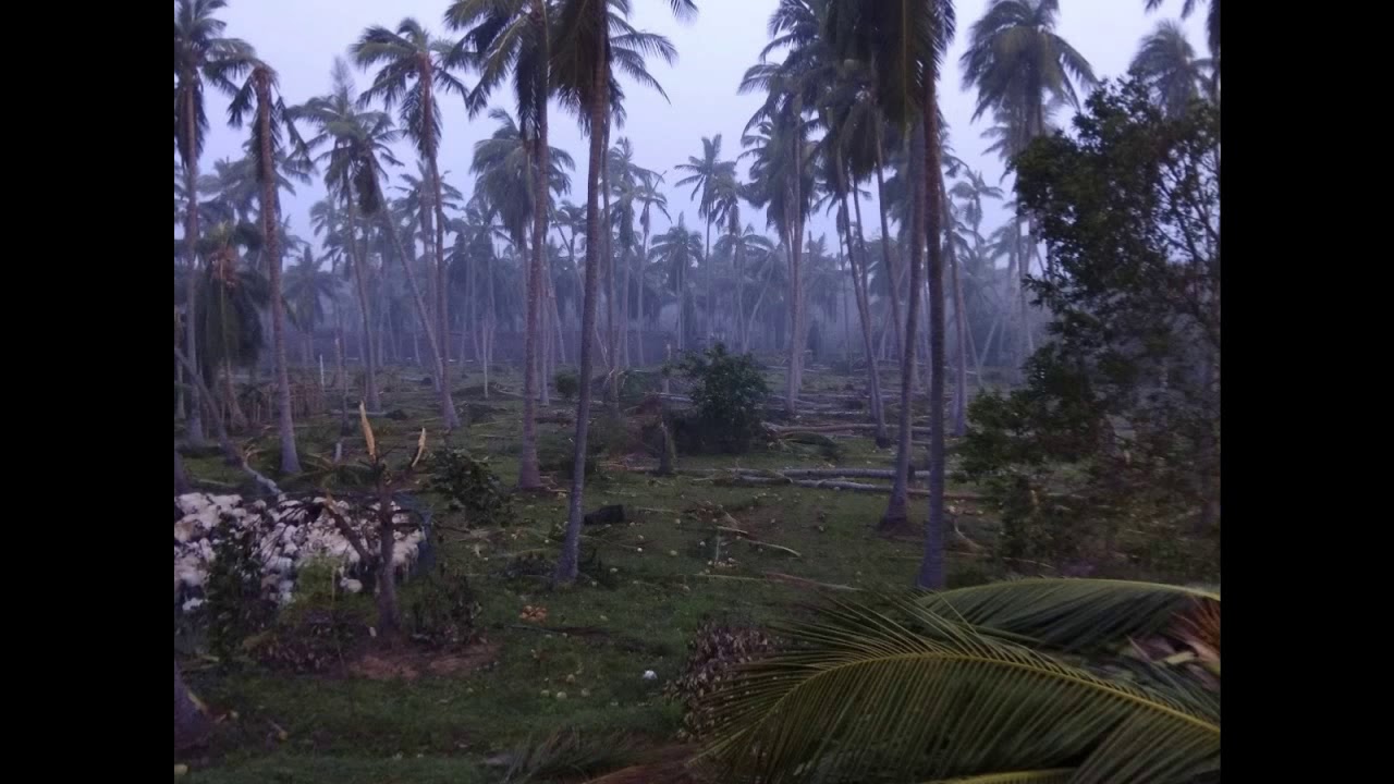 Kaja cyclone effect at moothakurichy & Silambavelangadu villages ...