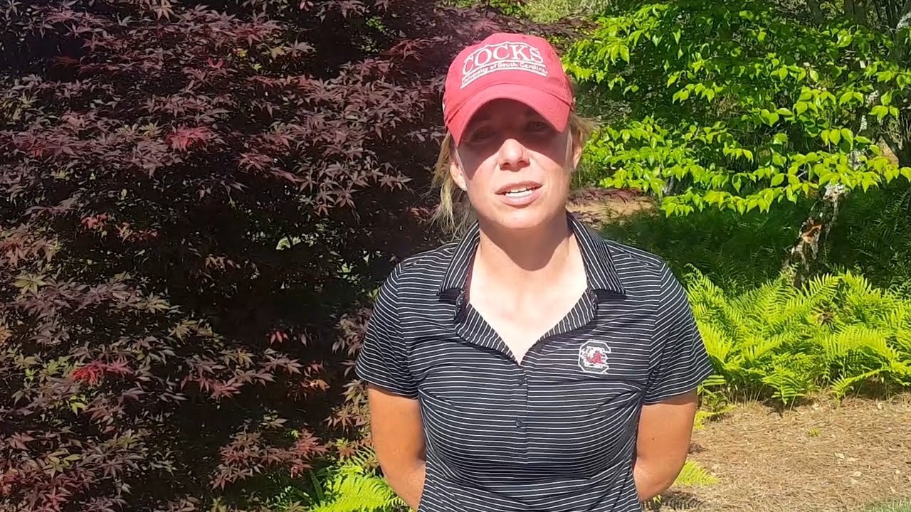 Kalen Anderson at the SEC Championship — 4/22/17 - YouTube