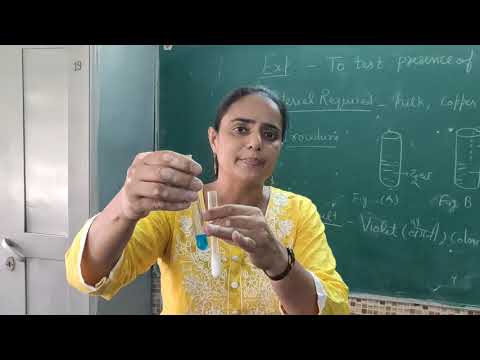 Science Activity:: Testing of Protein in Milk - YouTube