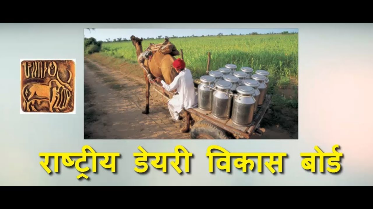 What is NDDB ? Work of NDDB - राष्ट्रीय डेयरी विकास बोर्ड (एनडीडीबी ...